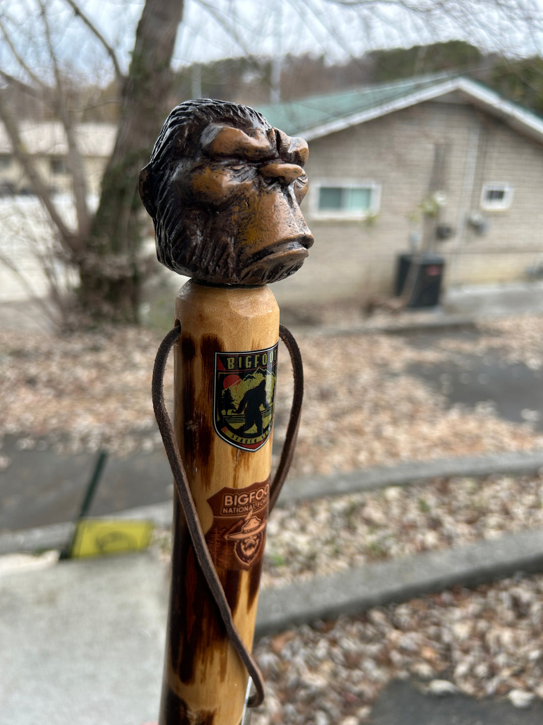 Products – BIGFOOT SEARCH GEAR